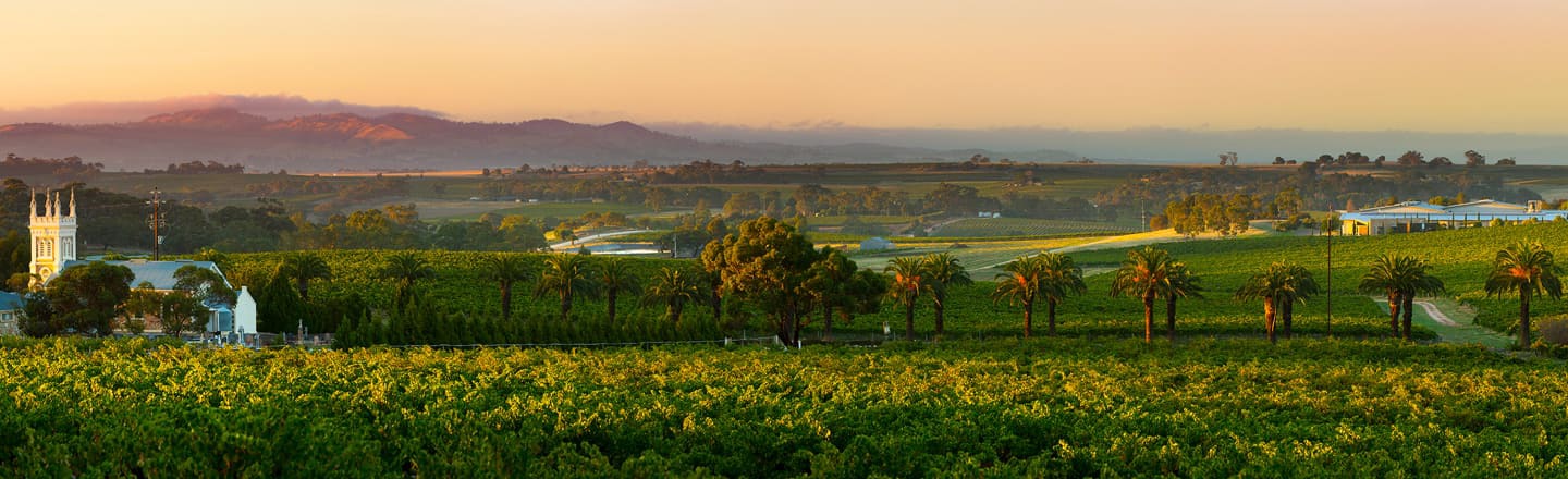 The Barossa Region - South Australia - Barossa Valley Estate